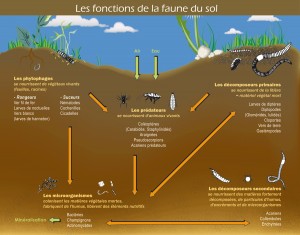 Logobio | Author | Vincent Pakula | Page 4