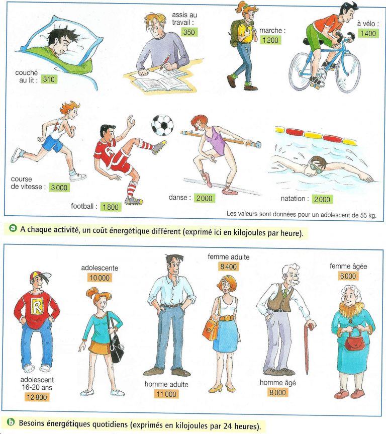 Les besoins en aliments de l’être humain – Logobio